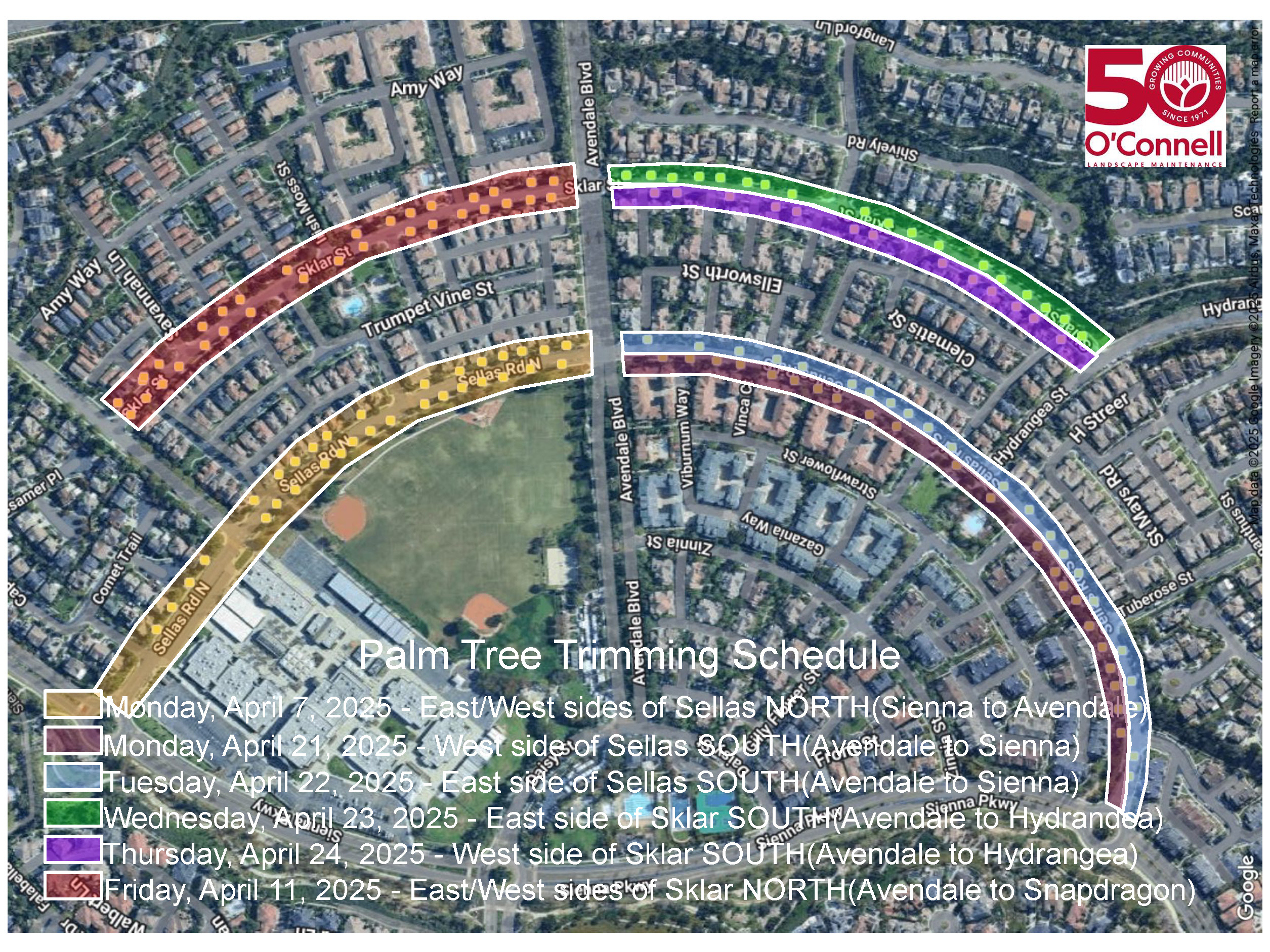 Palm Tree Trimming Schedule – Avendale Village | Ladera Ranch