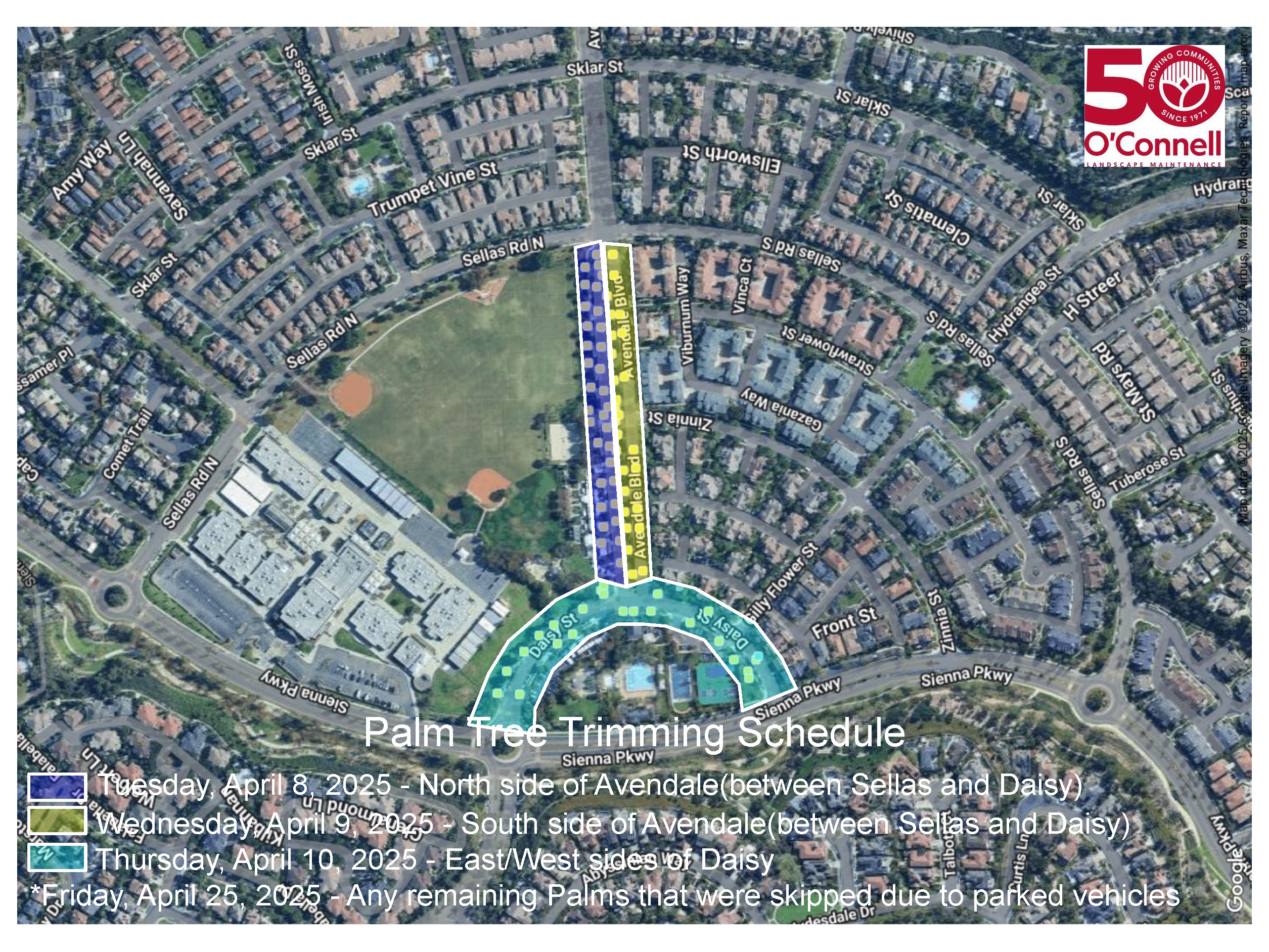 Palm Tree Trimming Schedule – Avendale Village | Ladera Ranch